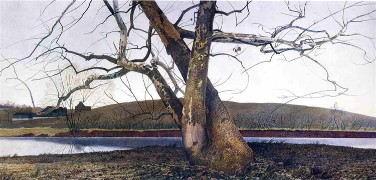 Dil Huey Farm - Andrew Wyeth - WikiArt.org